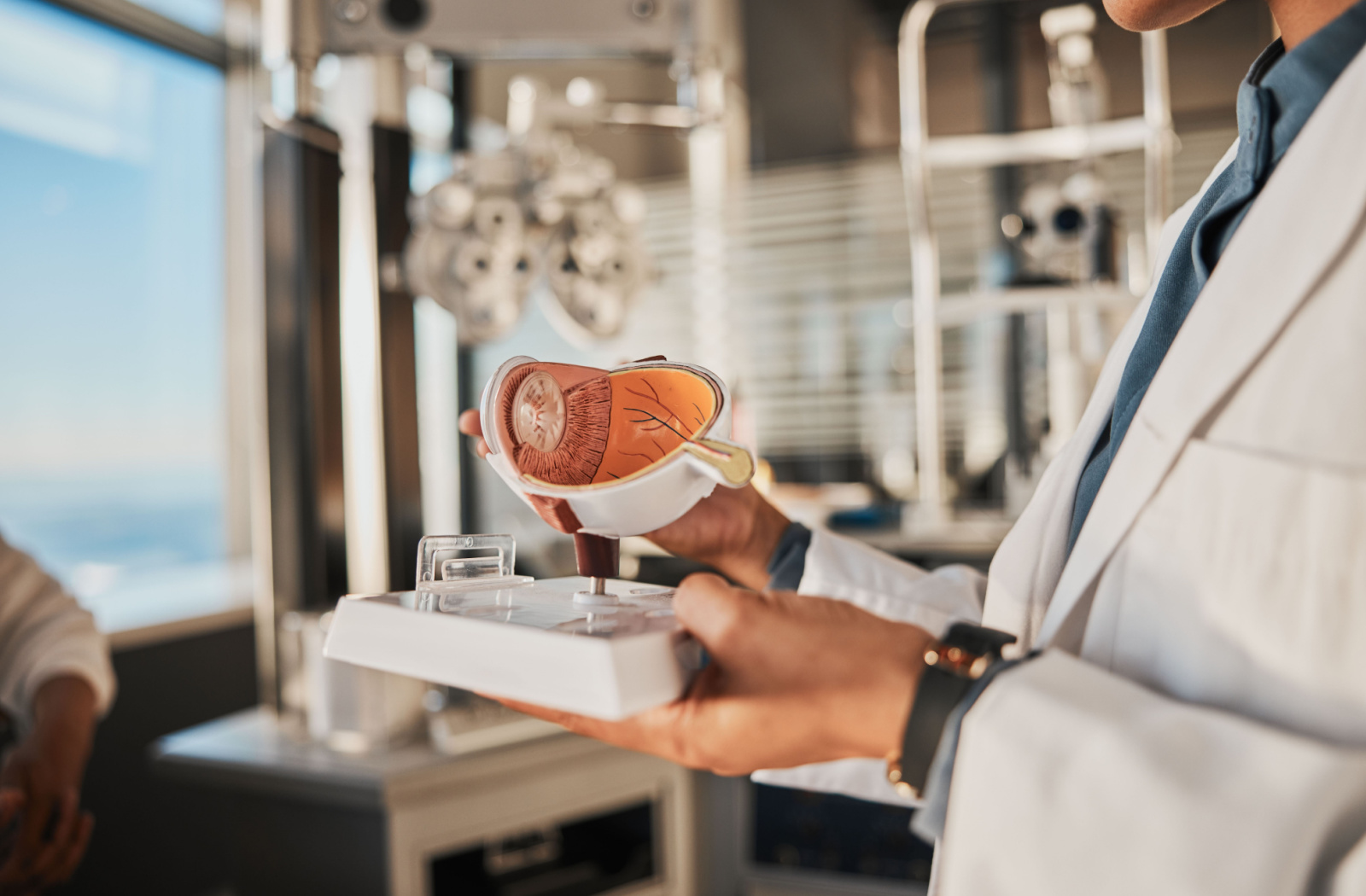 The Link Between Family History and Genetic Eye Diseases